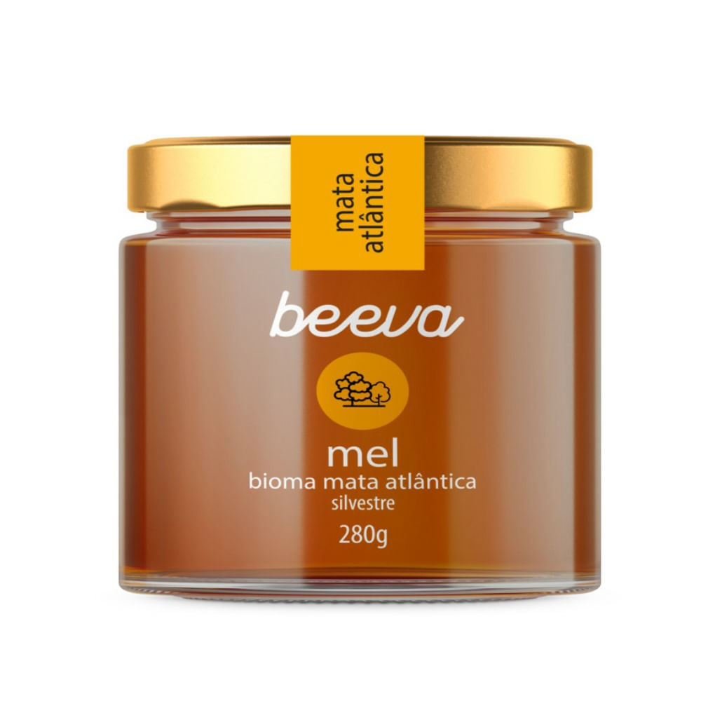Mel Silvestre Beeva Mata Atlantica Vidro 280g - Drogaria Venancio